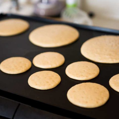 Best Pancake Griddle 2022: 5+ Detailed Reviews – The U.S Kitchen