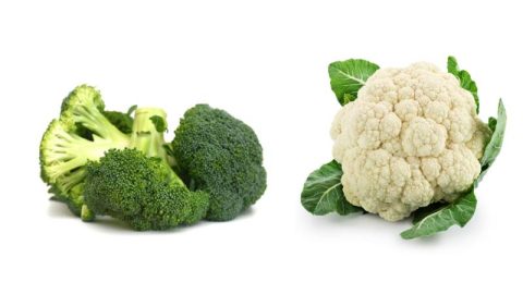Broccoli Vs Cauliflower: Which One Should You Choose? - The U.S Kitchen
