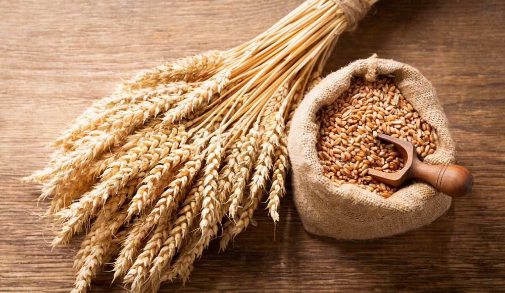 Can You Eat Wheat On A Paleo? - The U.S Kitchen