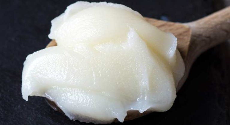 Does Lard Go Bad? - The U.S Kitchen