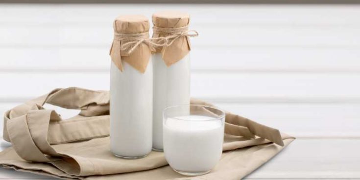 How To Tell If Kefir Is Bad? - The U.S Kitchen
